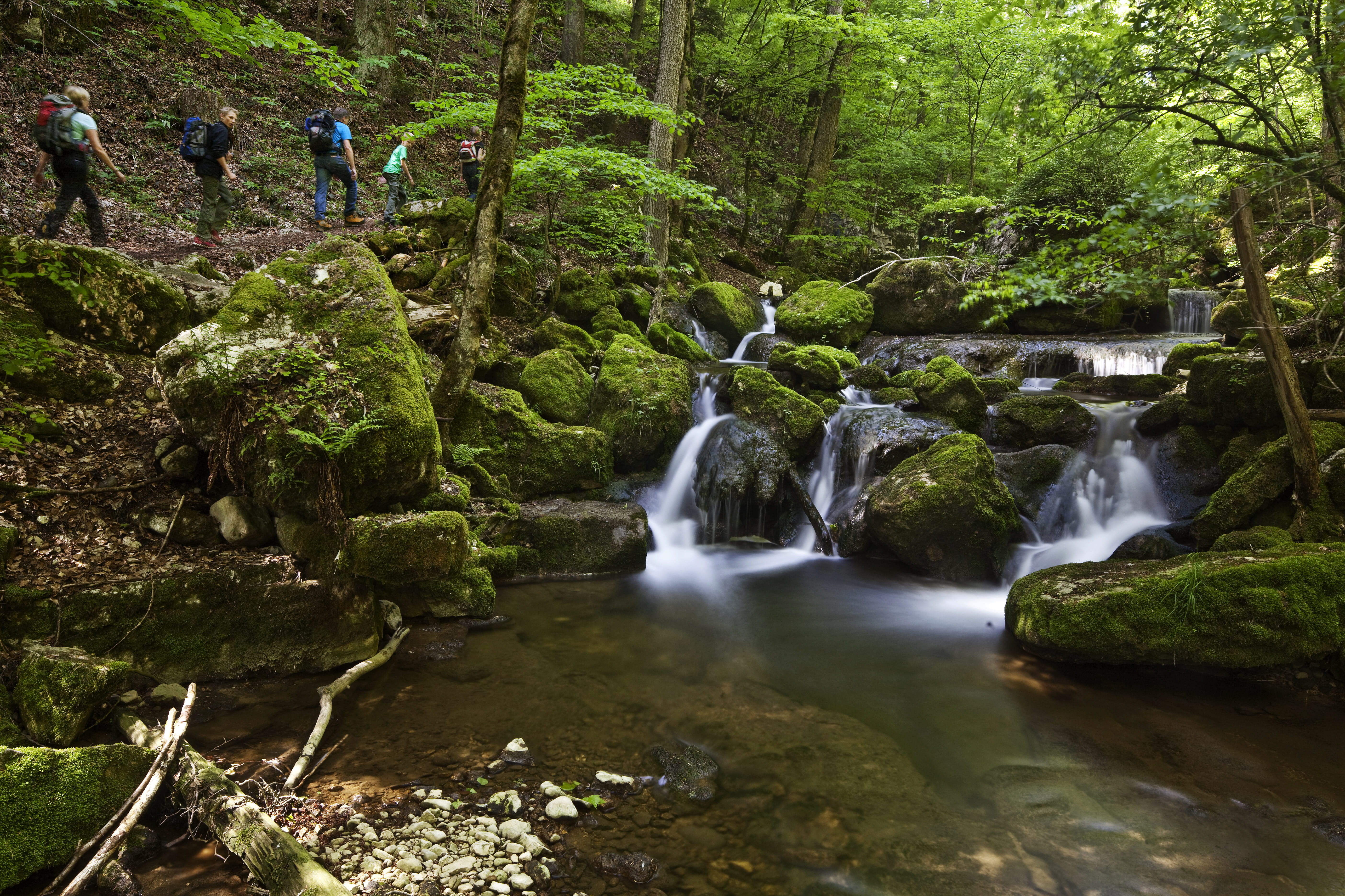 Wanderung Twannbachschlucht Ausfl ge Mit Dem Zug Wanderung Twannbachschlucht Ausfl ge Mit Dem Zug