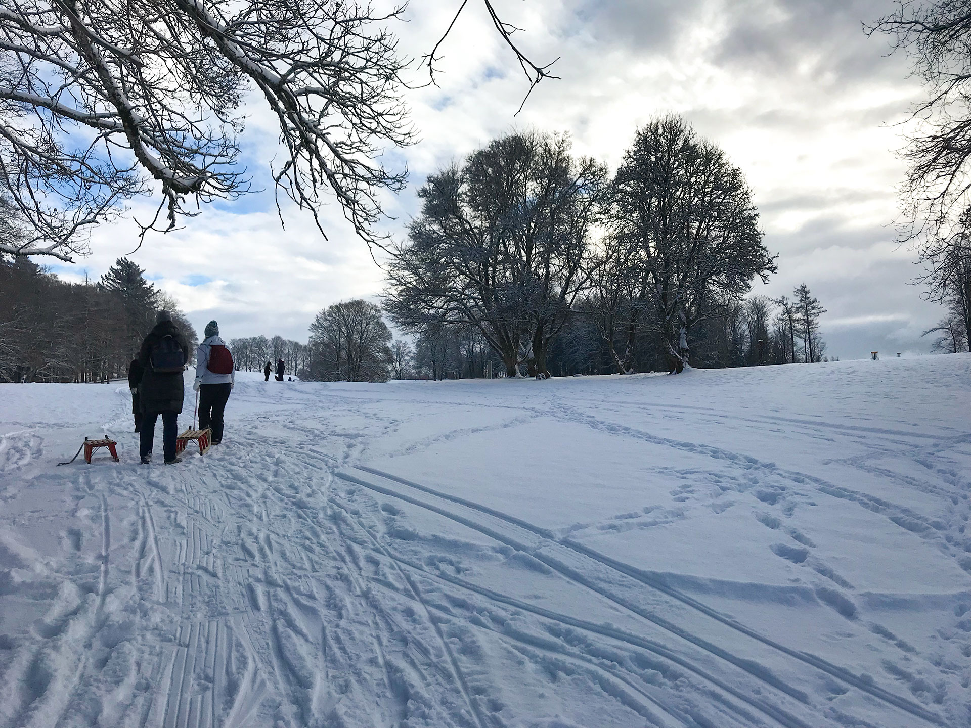 Gurten Bern - Hiking & Walking - Excursions by train