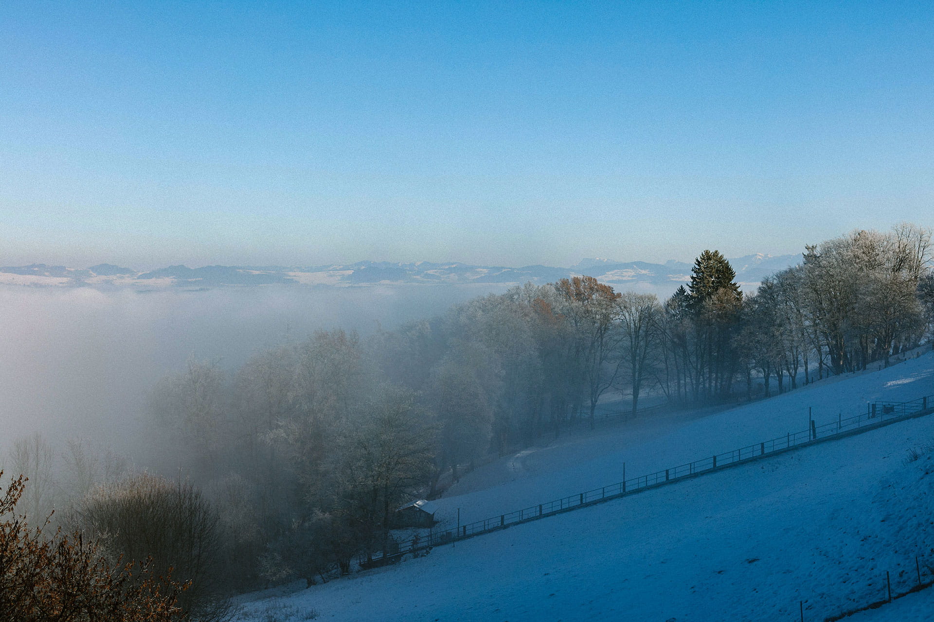 Gurten Bern - Wandern & Spazieren - Ausflüge mit dem Zug