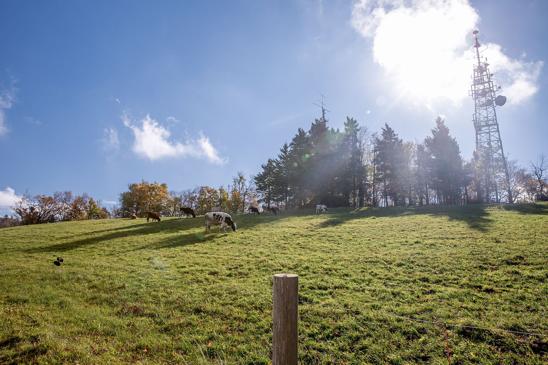 Weissenstein, Solothurn’s ‘local mountain’ – Excursions