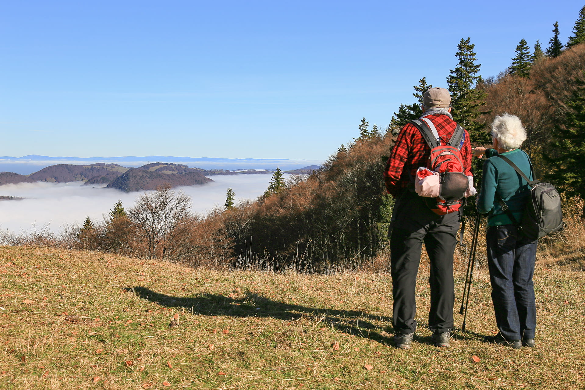 Weissenstein, Solothurn’s ‘local mountain’ – Excursions