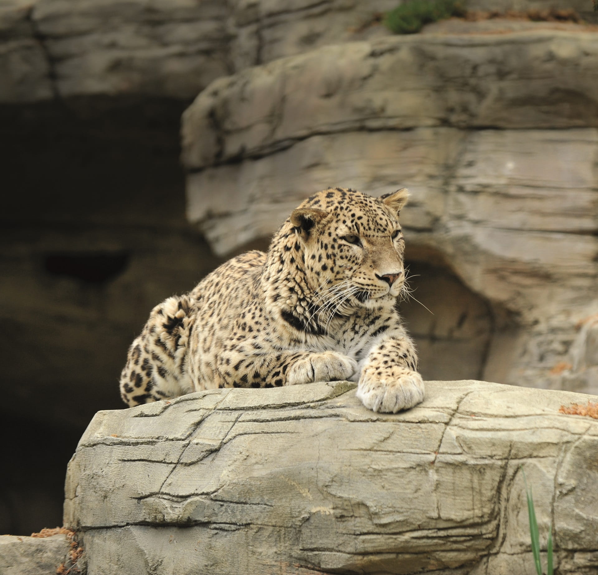 Tierpark Dählhölzli in Bern - Ausflüge