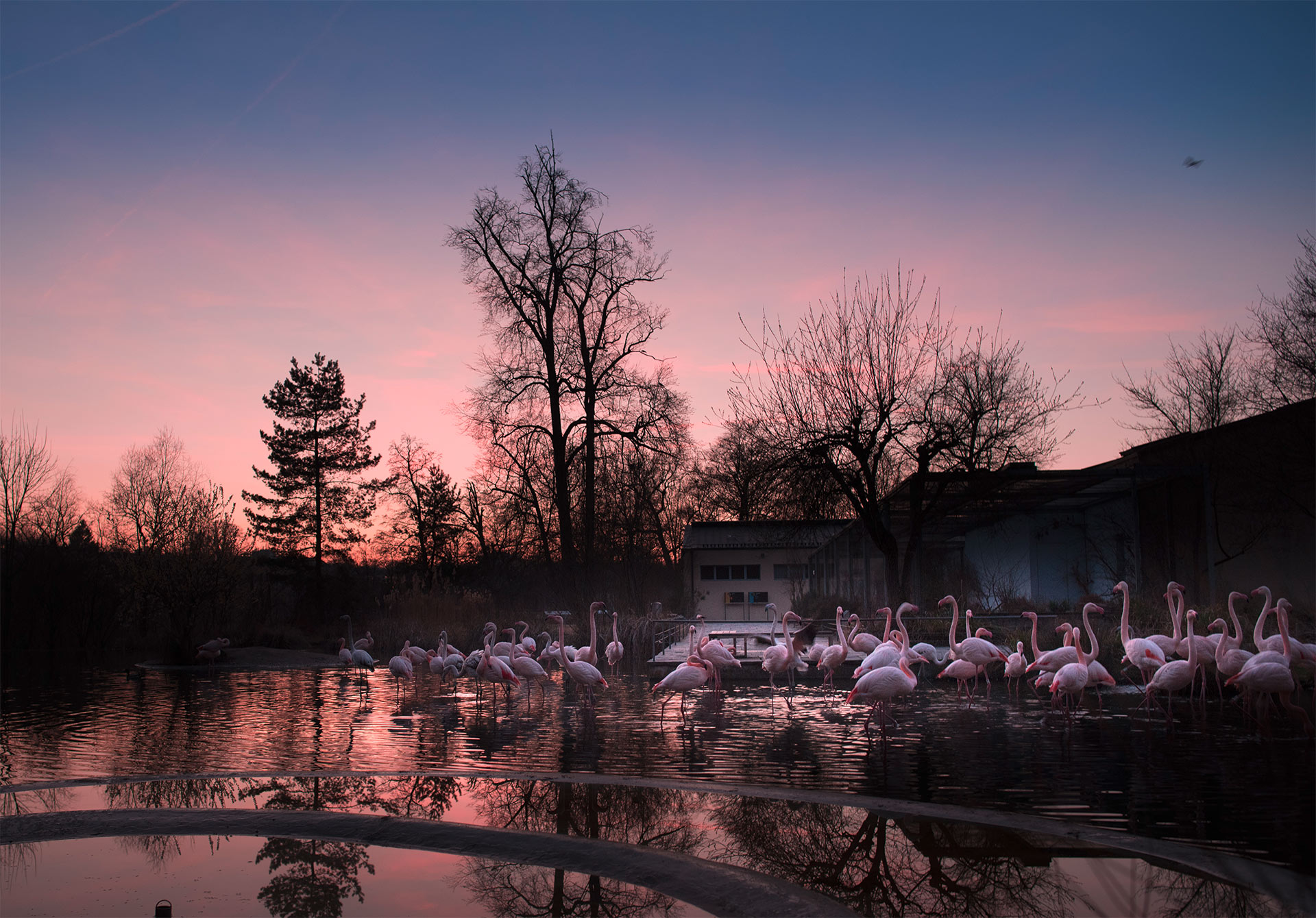 Parc zoologique Dählhölzli à Berne: davantage de place pour moins d ...