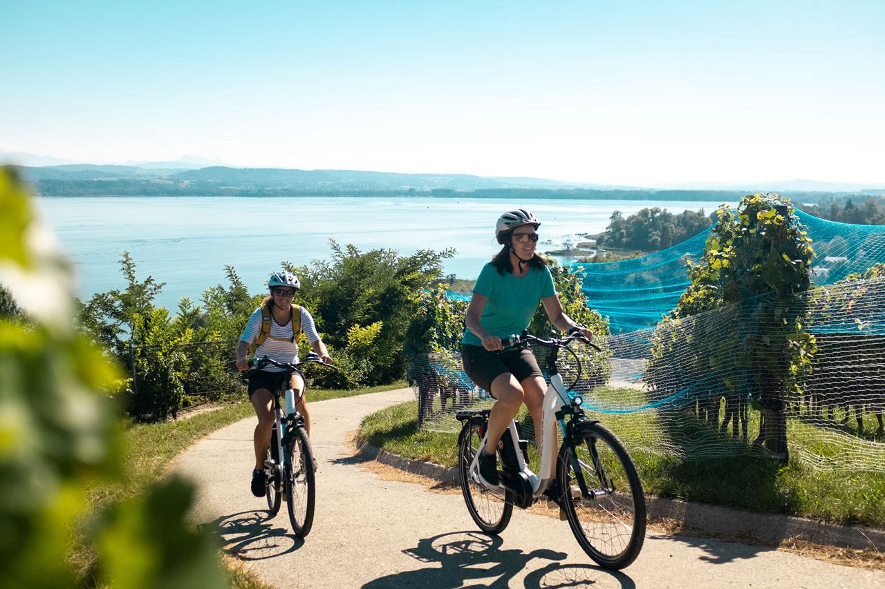 BLS connects. | Train, bus, boat & car transport