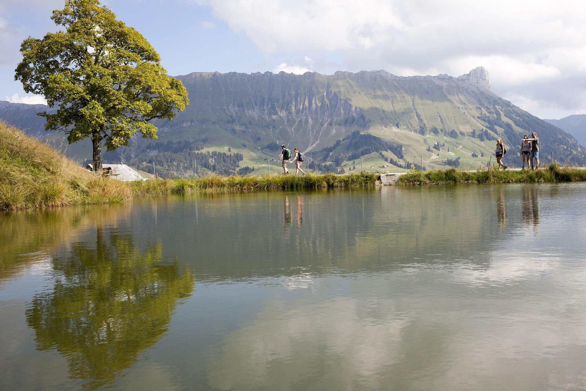 Allmenalp – Usser Ueschinen – Kandersteg hiking route - Excursions