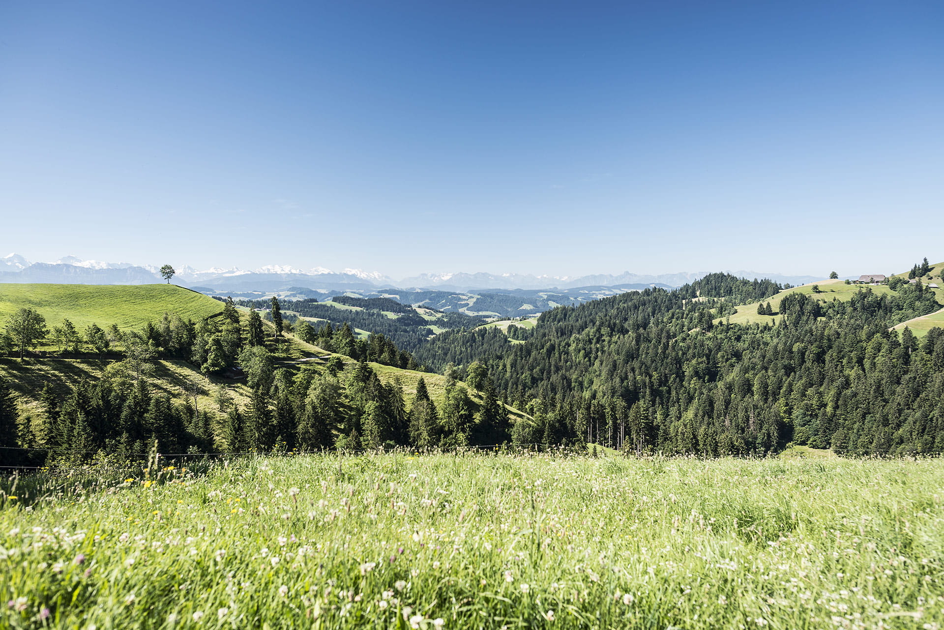 Panorama circular trail at Lake Thun - Excursions