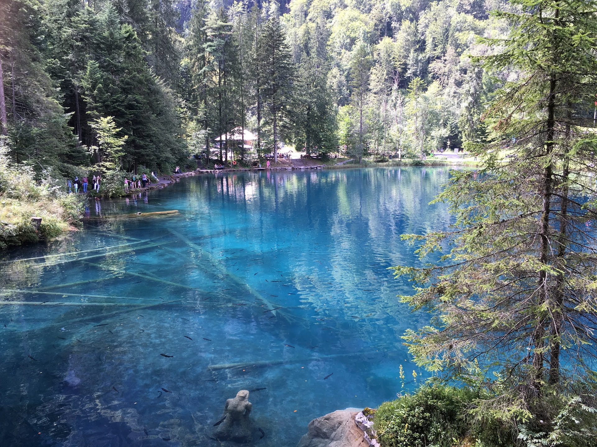 Excursion au Blausee - Excursions