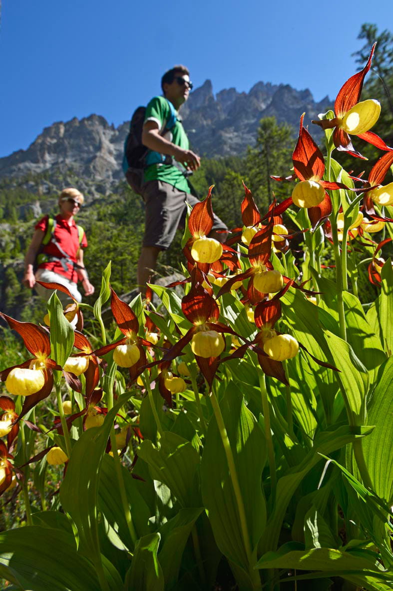 Walking trail to Gasterntal - UNESCO – Excursions