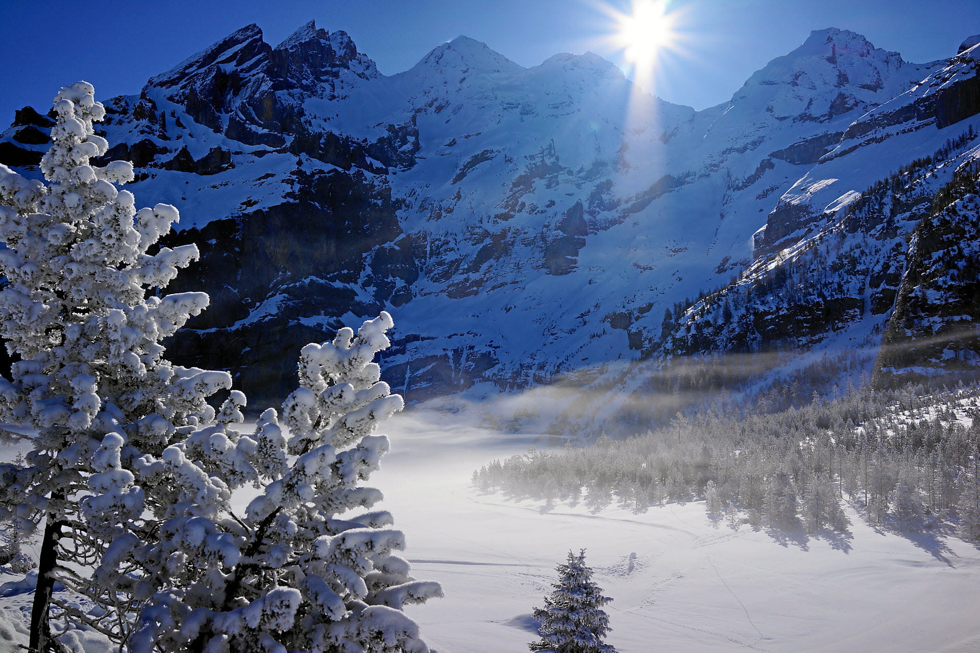 Simmental House Trail Wimmis–Weissenburg & Erlenbach–Boltigen – Excursions