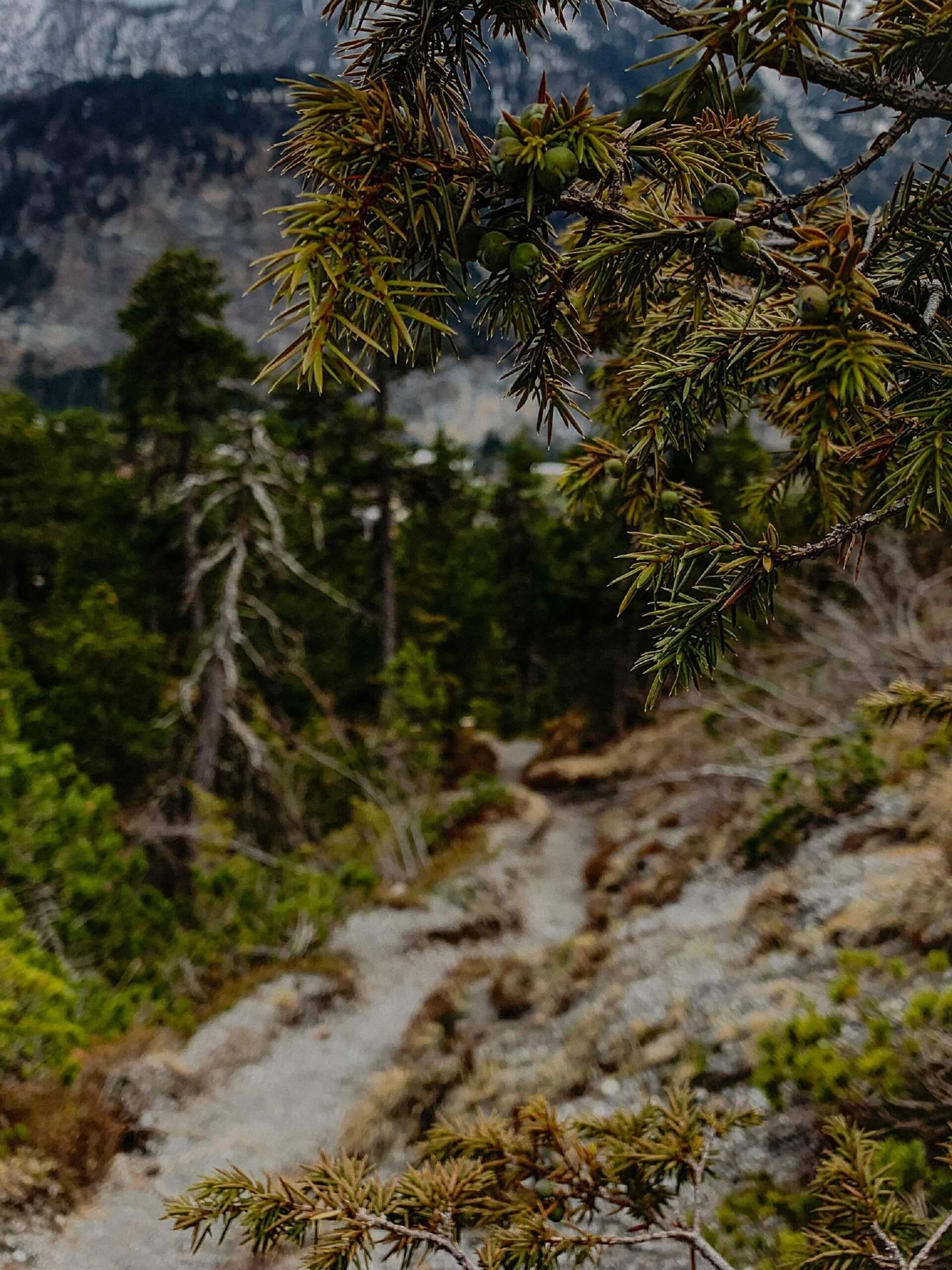 Wildnis-Trail Kandersteg - Ausflüge mit dem Zug