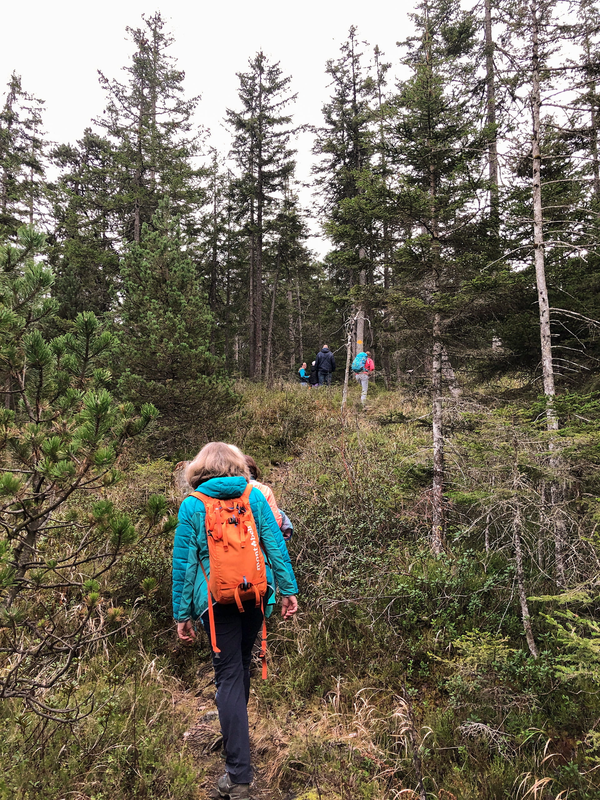 Wildnis-Trail Kandersteg - Ausflüge mit dem Zug