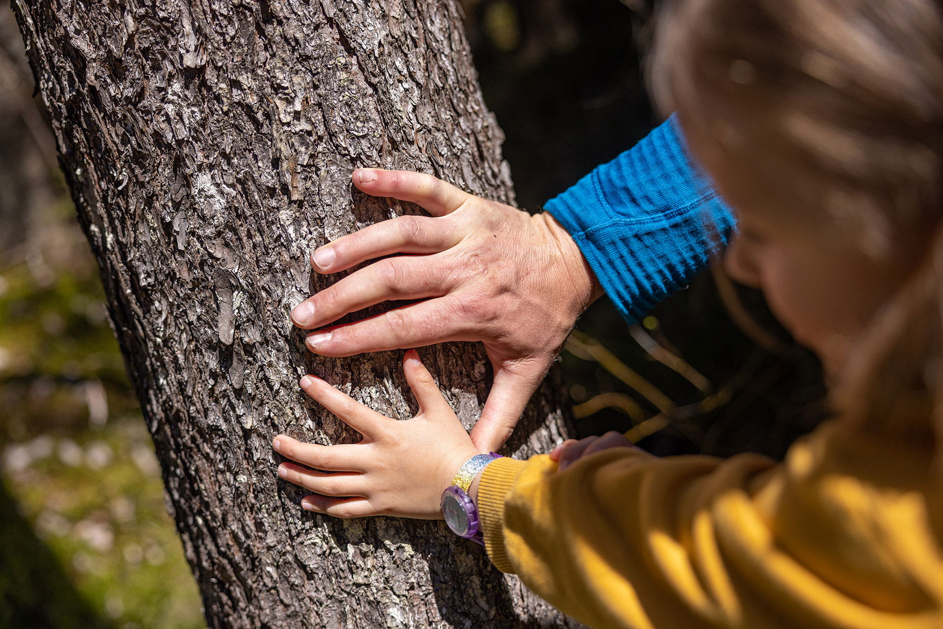 Wildnis-Trail Kandersteg - Ausflüge mit dem Zug