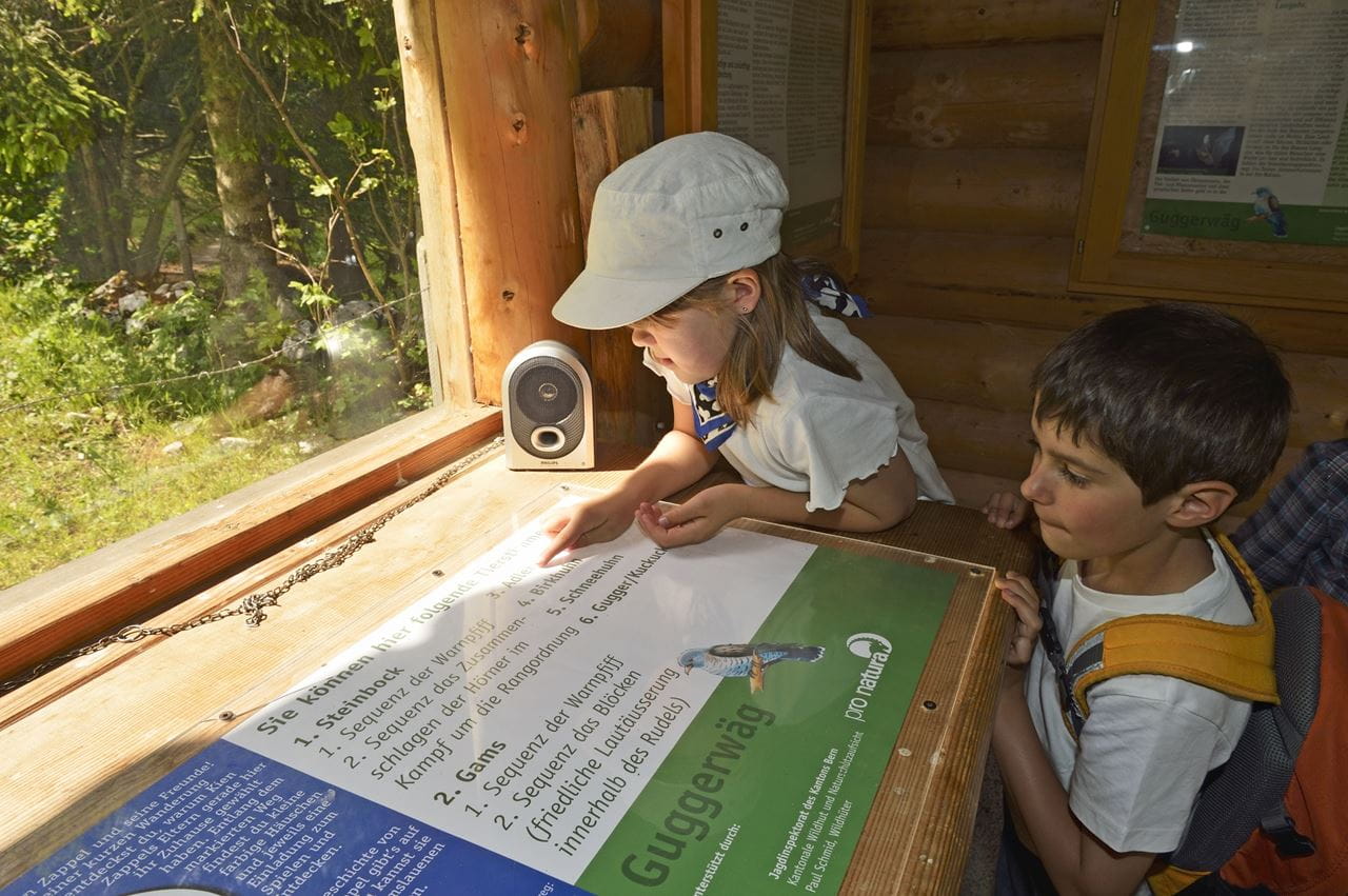 Kien Zappel Rundweg im Kiental - Ausflüge mit dem Zug