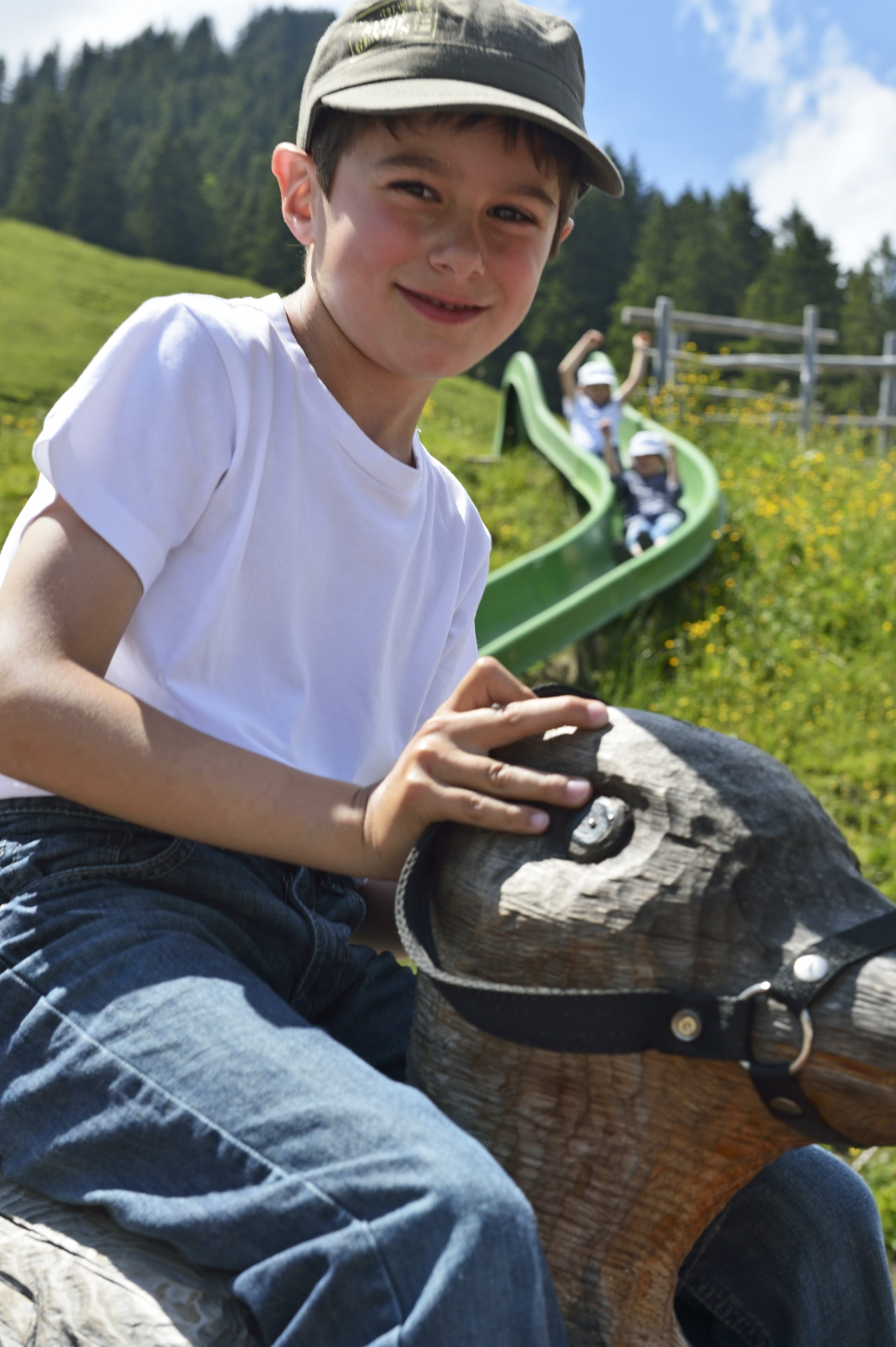 Experience & discover - Excursions by train, bus and boat