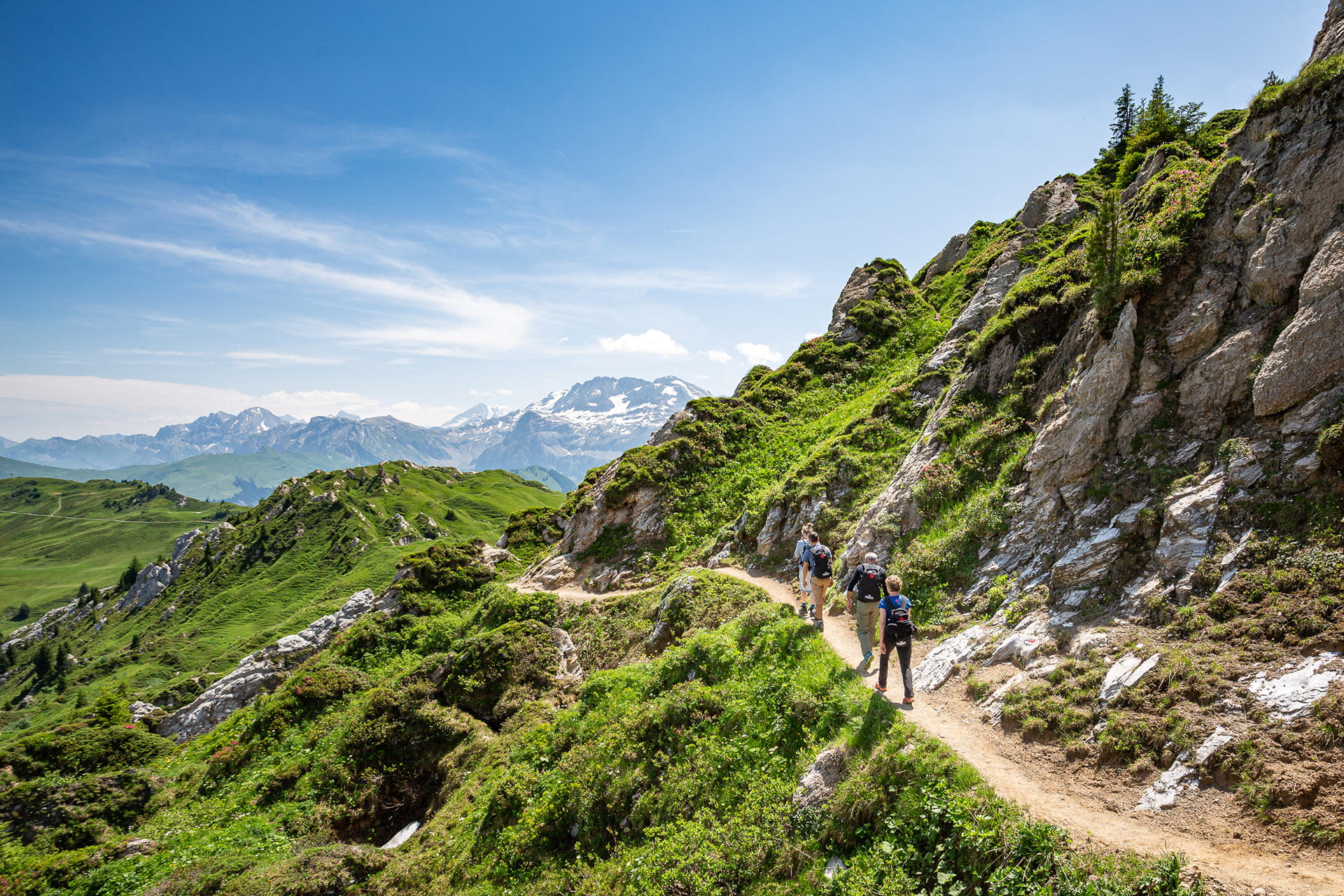 High altitude hikes Betelberg Lenk - Excursions by train