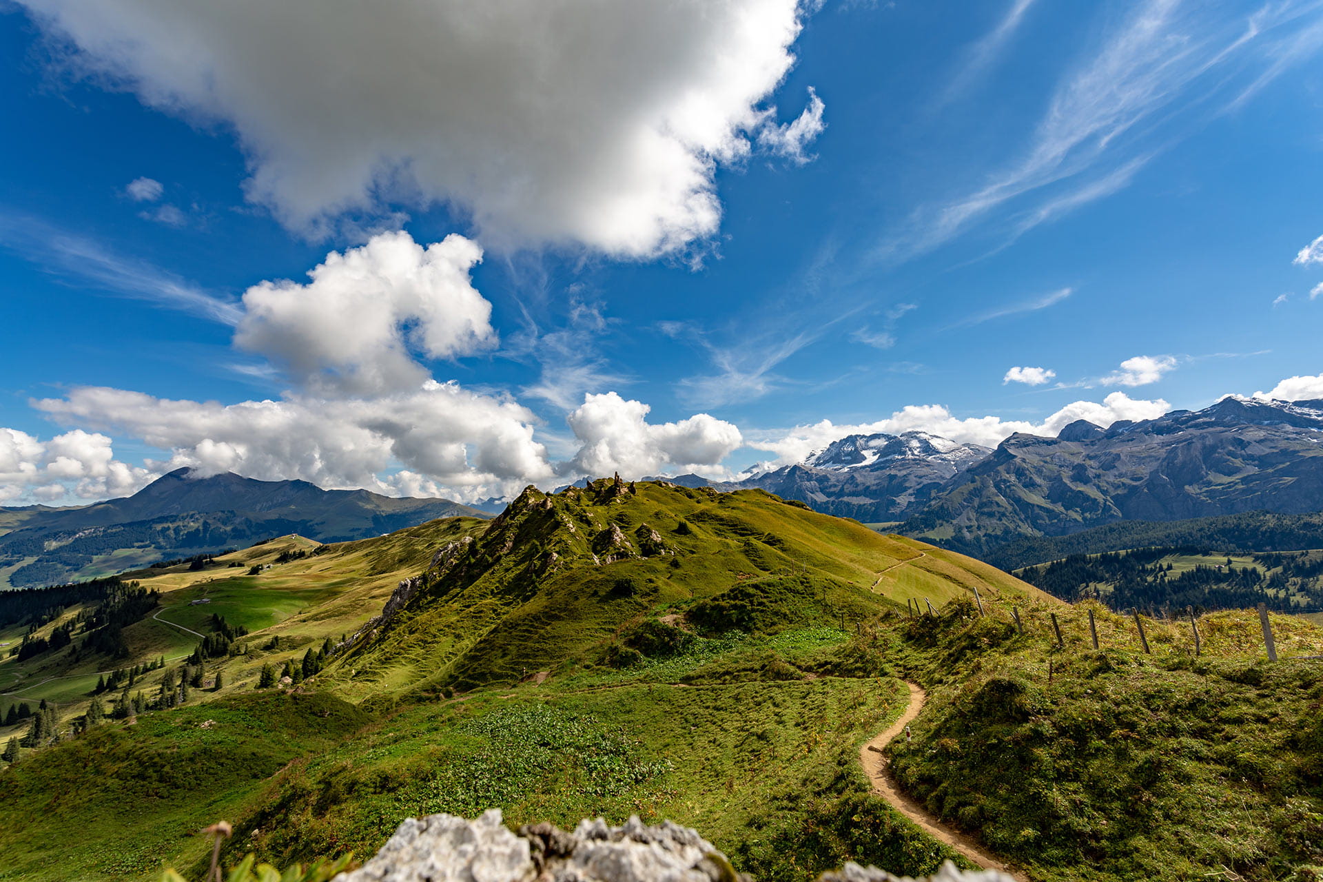 High altitude hikes Betelberg Lenk - Excursions by train
