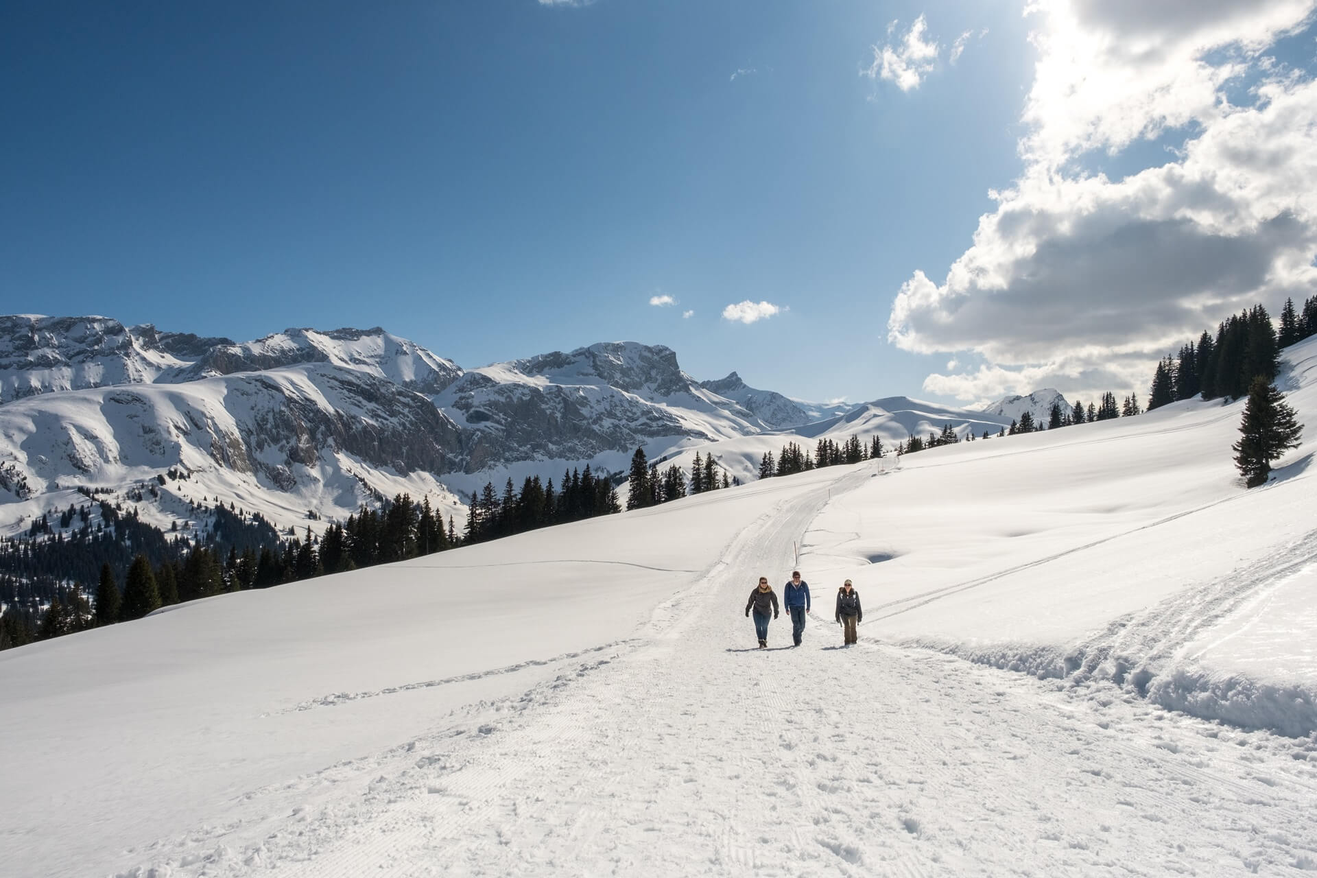 Winterwandern Adelboden - Ausflüge mit dem Zug