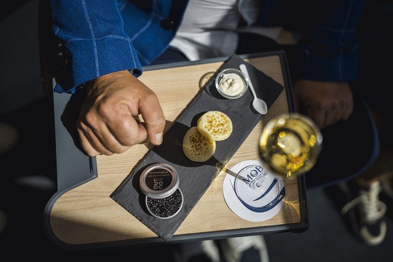 GoldenPass Express Interlaken–Montreux - Excursions by train