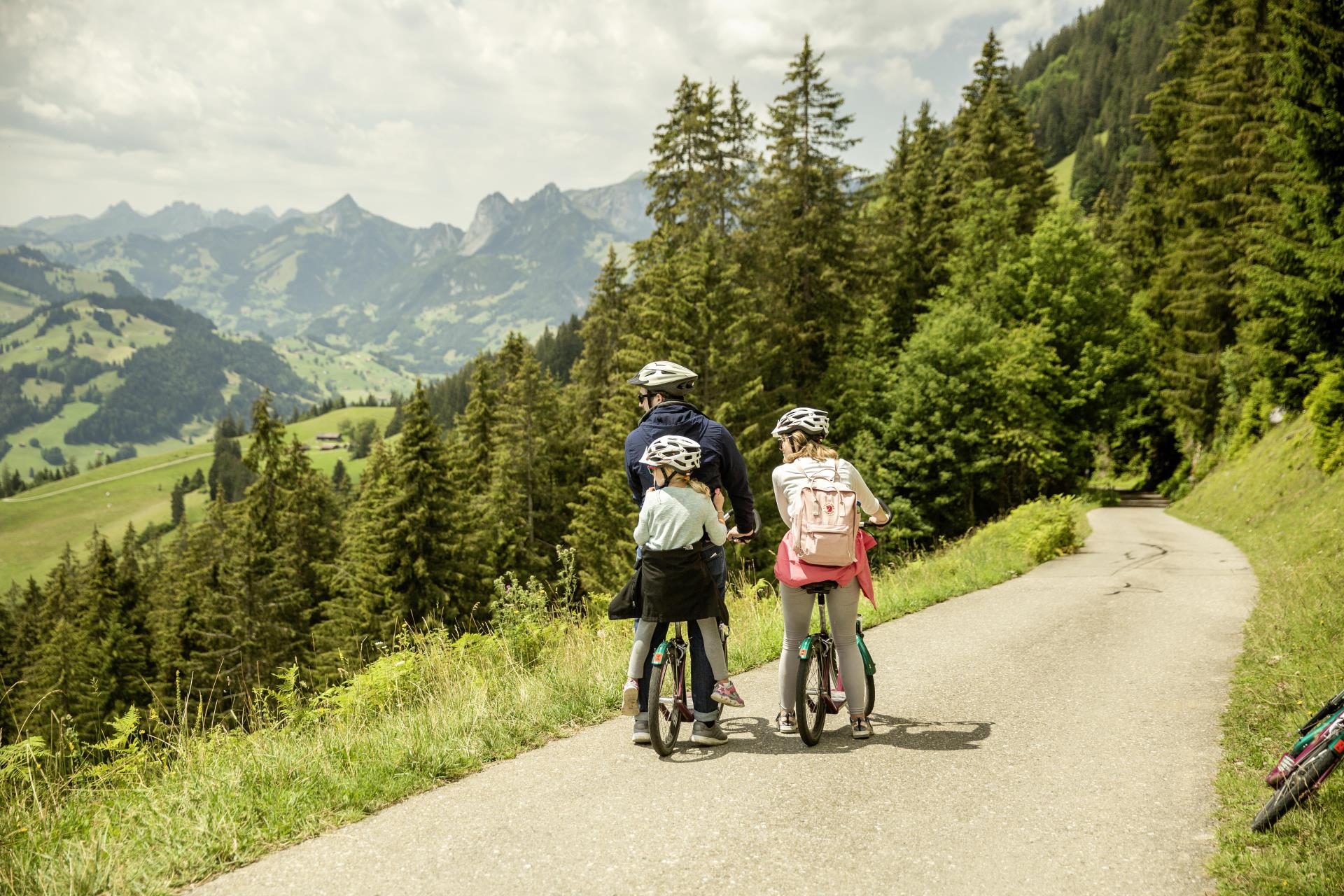 Simmental House Trail Wimmis–Weissenburg & Erlenbach–Boltigen – Excursions