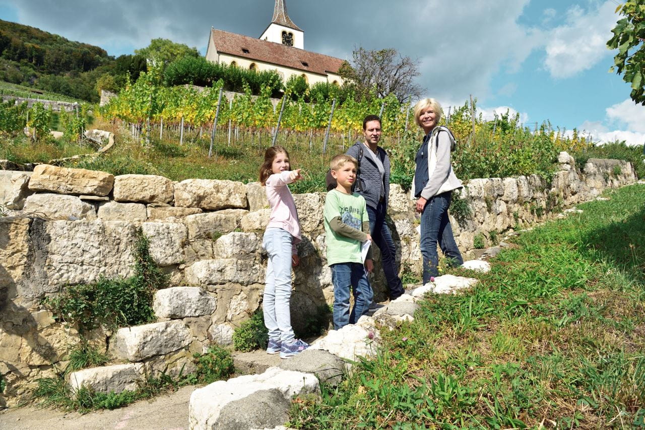 Excursions pour tous les types de temps et tous les goûts