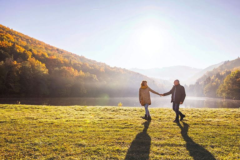 BLS connects. | Train, bus, boat & car transport