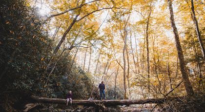 Excursions pour tous les types de temps et tous les goûts