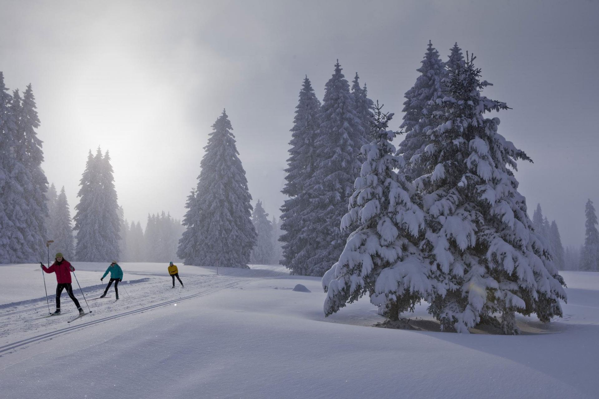 Schneeschuhtrail Luthern Bad–Badegg oder Napf - Ausflüge