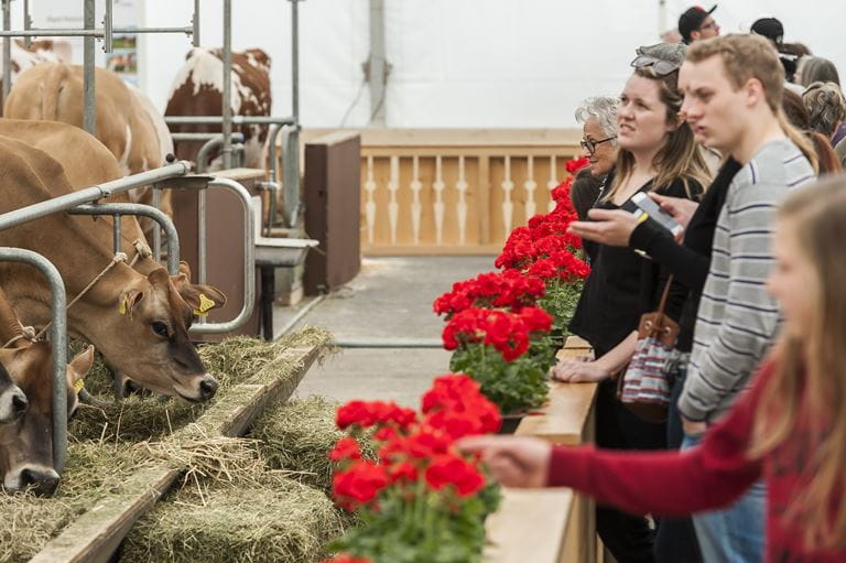 BEA Bern – Ausflüge mit dem Zug